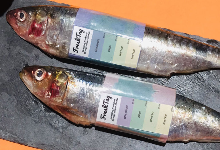 La storia di FreshTag - Fondazione Packaging